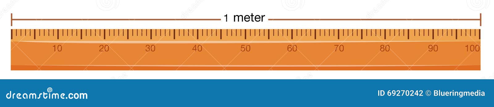 Righello Di Legno Con La Misura in Metro Illustrazione Vettoriale ...