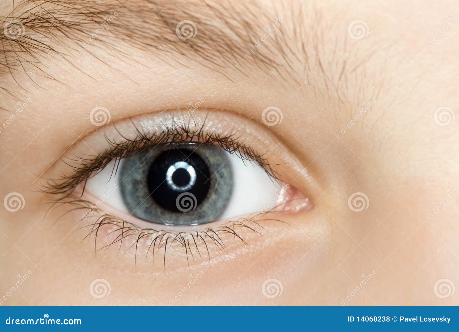 Right Blue Eye of Child with Long Eyelashes Stock Photo - Image of blue ...