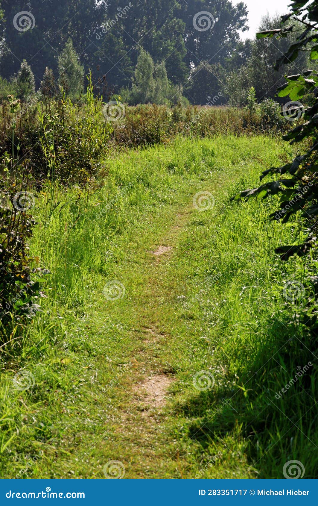 Right Curved Path. in the Background are Trees Stock Image - Image of ...
