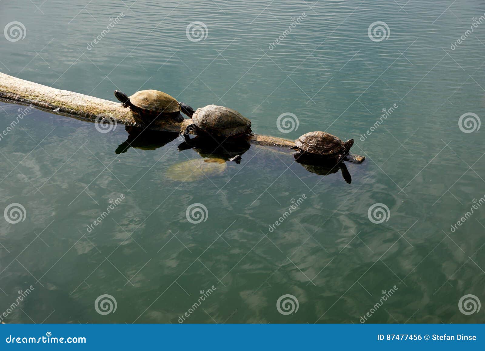 The right direction stock photo. Image of solution, path - 87477456