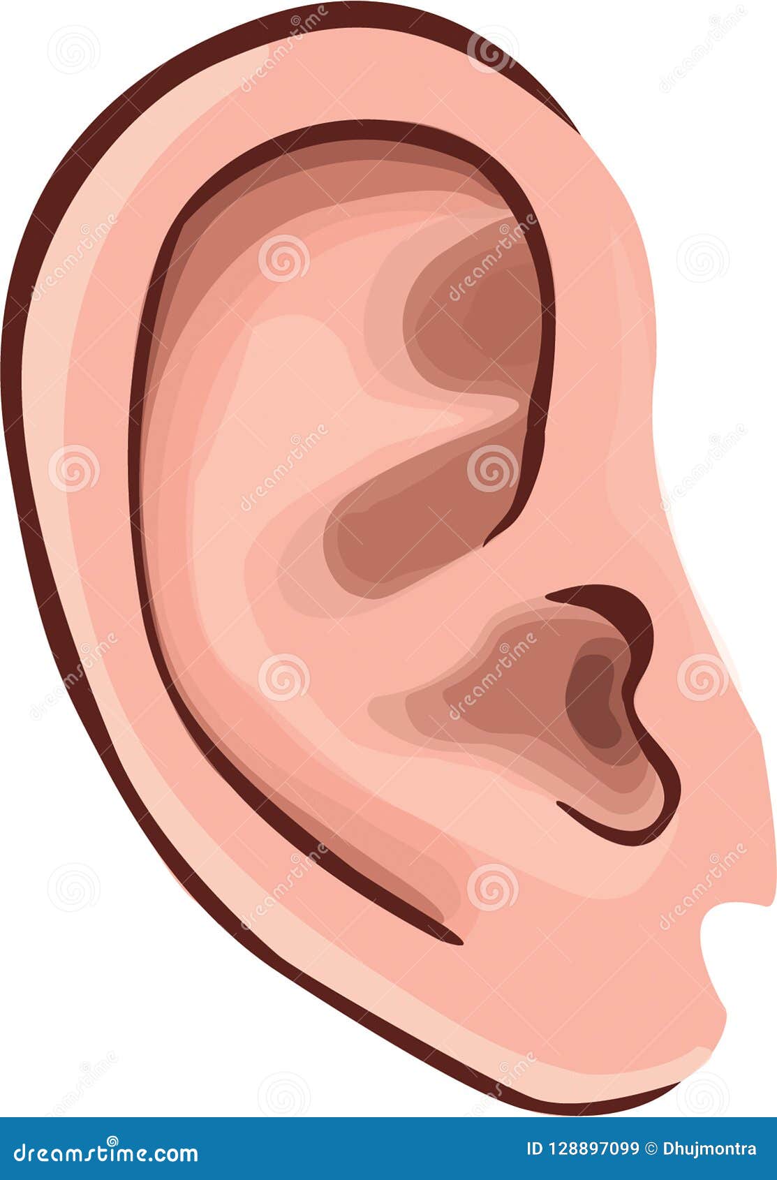 Realistic Human Ear Vector Drawn Isolated on White Background Stock ...