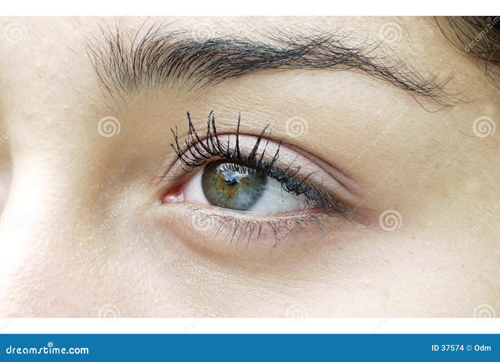 Right eye stock photo. Image of feeling, sentiment, persuasion - 37574