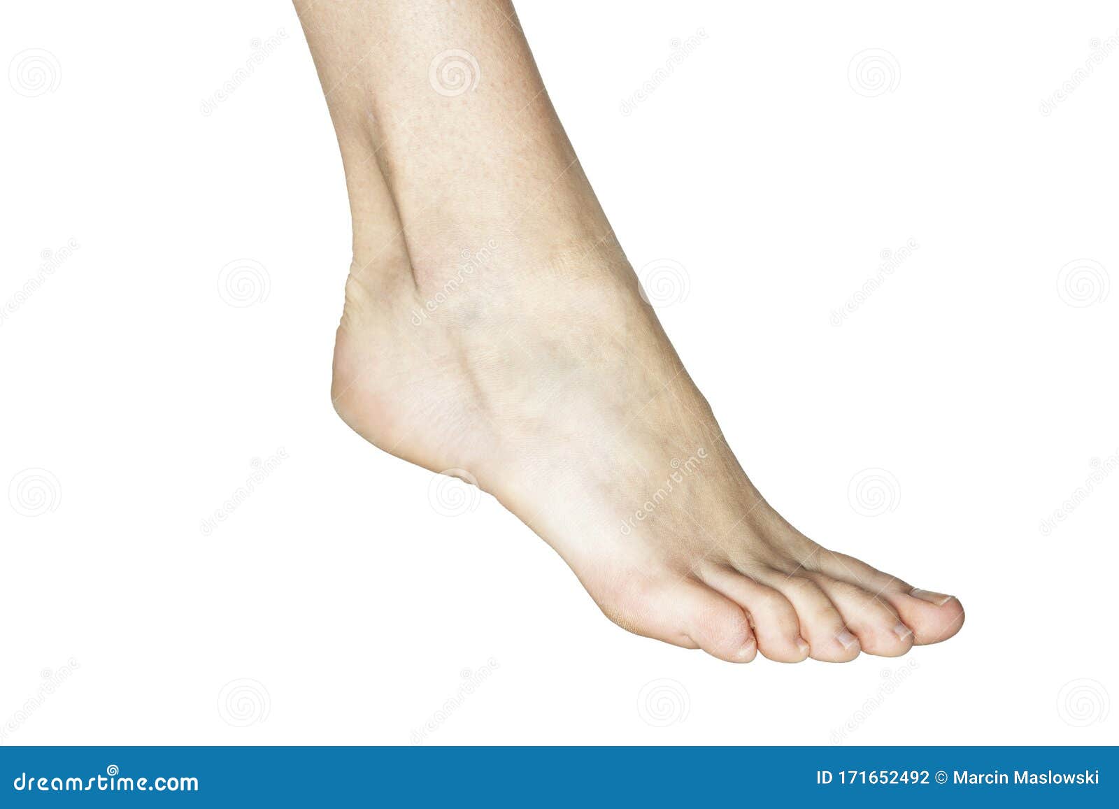 Right Foot of a Woman on a White Background Stock Photo - Image of feet ...