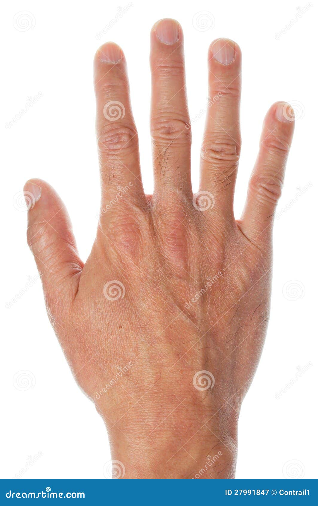 Right hand stock image. Image of hospital, adult, bone - 27991847