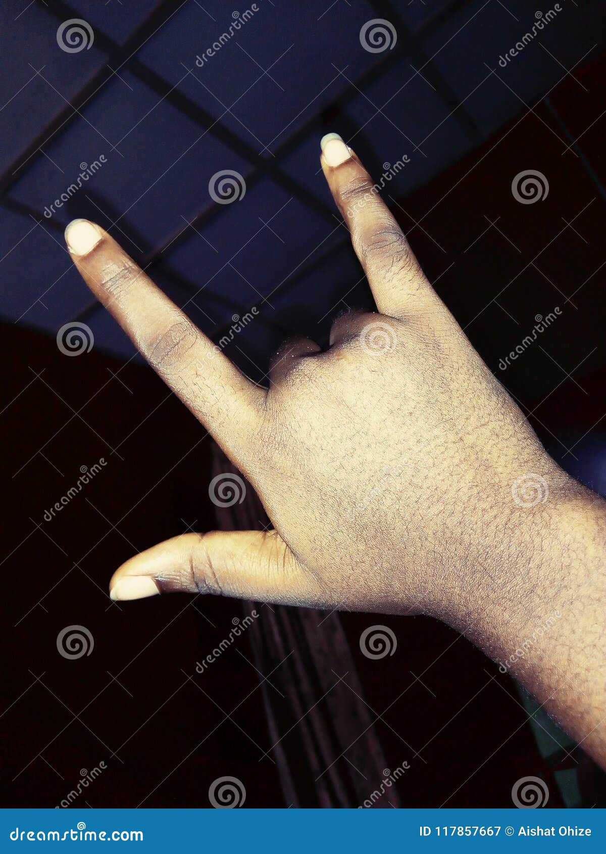 Hand Gesture stock image. Image of gesture, gestures - 117857667