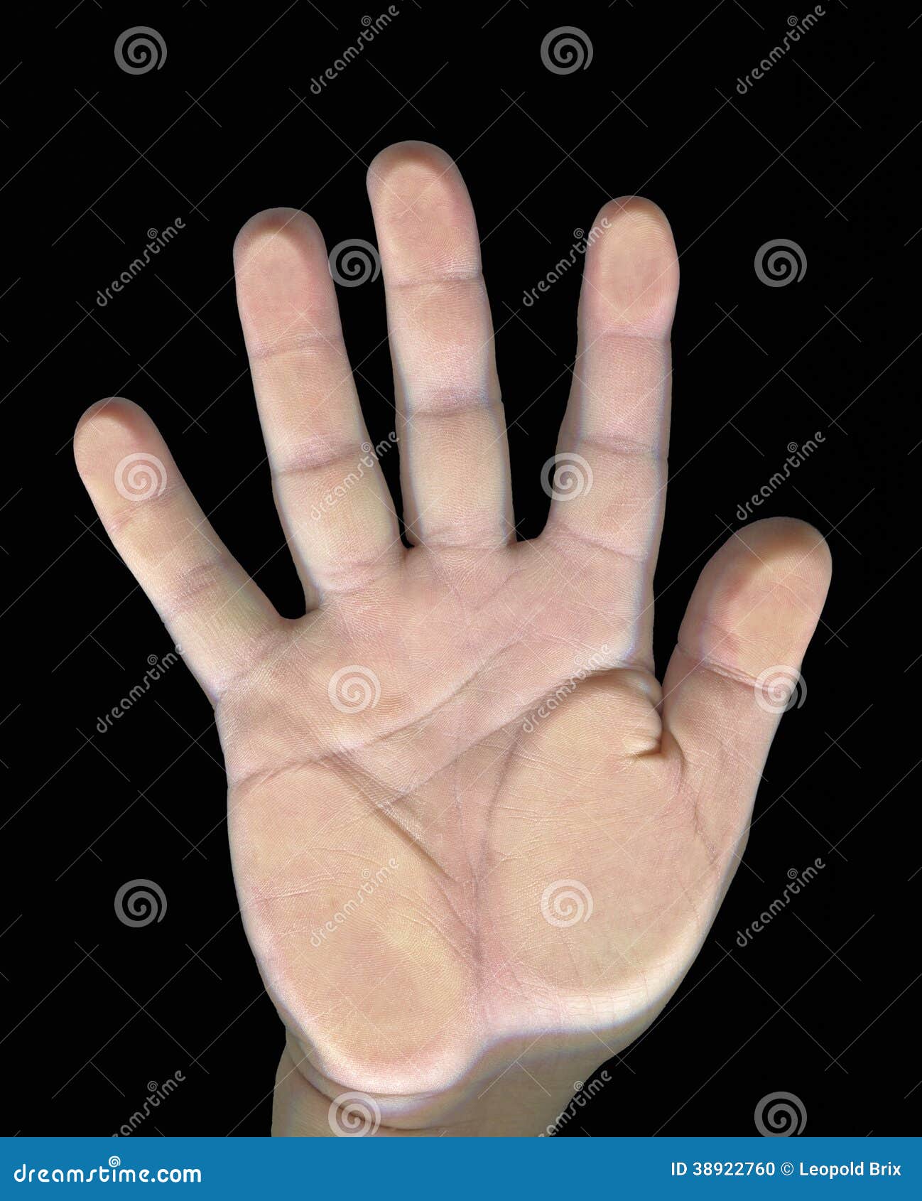 Right hand stock photo. Image of fingers, slab, ball - 38922760