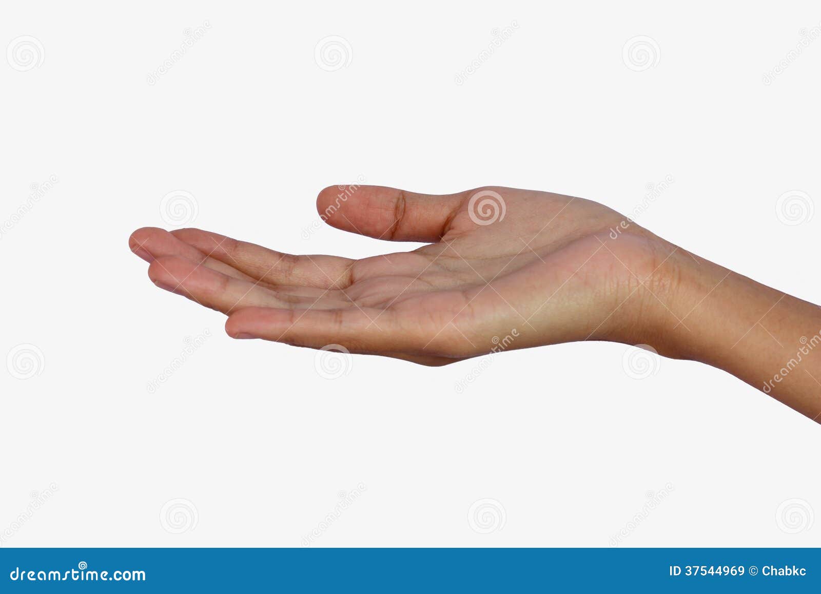 Right Hand Of Women Royalty Free Stock Images - Image: 37544969