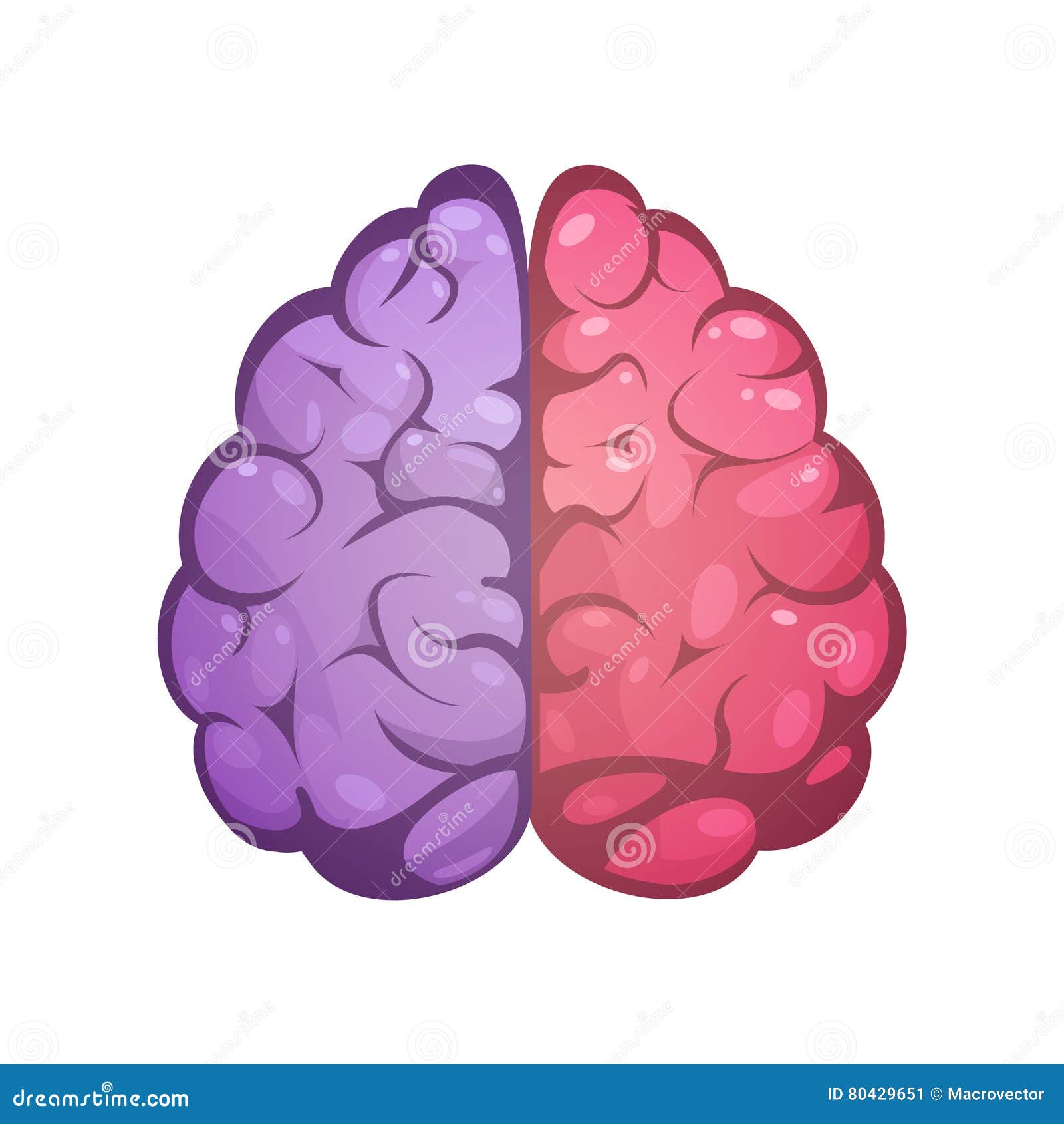 Right and Left Brain Symbolic Image Stock Vector - Illustration of ...