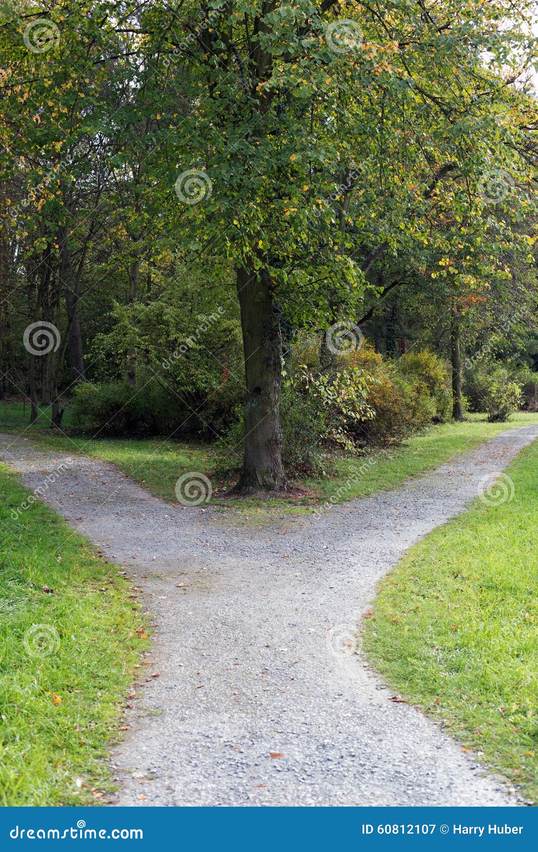 Right or left stock image. Image of trees, direction - 60812107