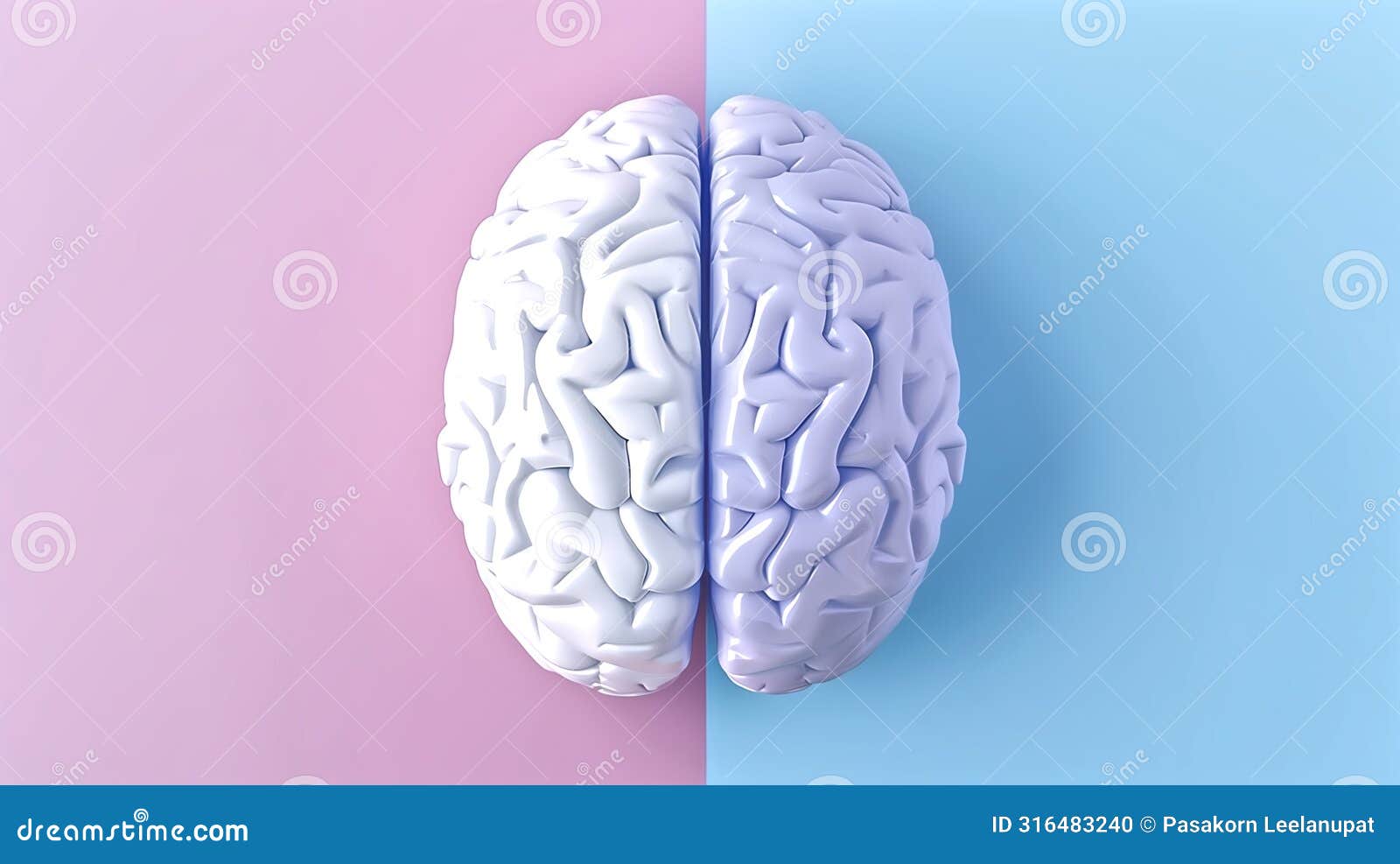 Right and Left Hemisphere of the Human Brain Creative Concept Stock ...