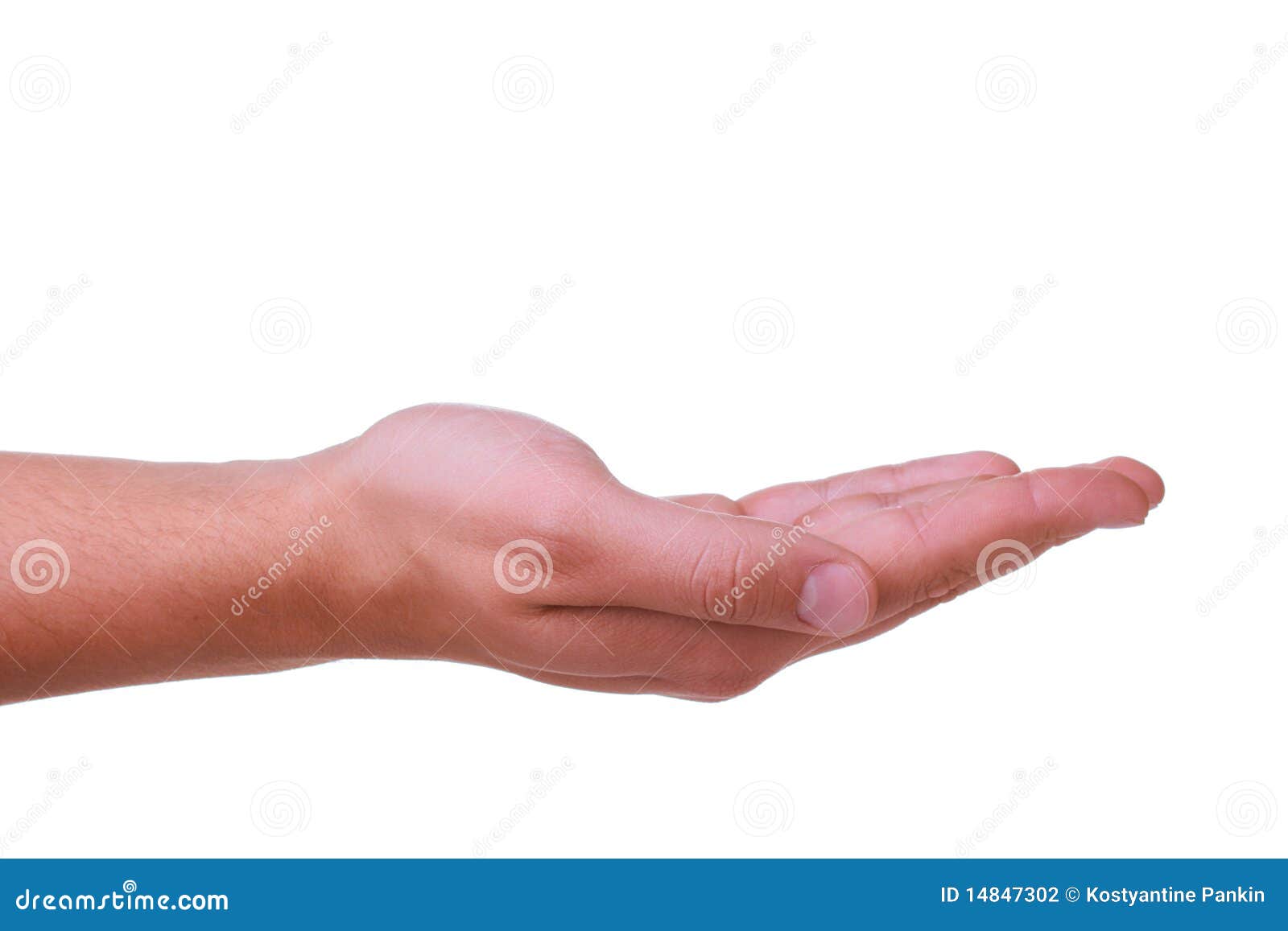 Right man s hand stock photo. Image of white, nail, developed - 14847302