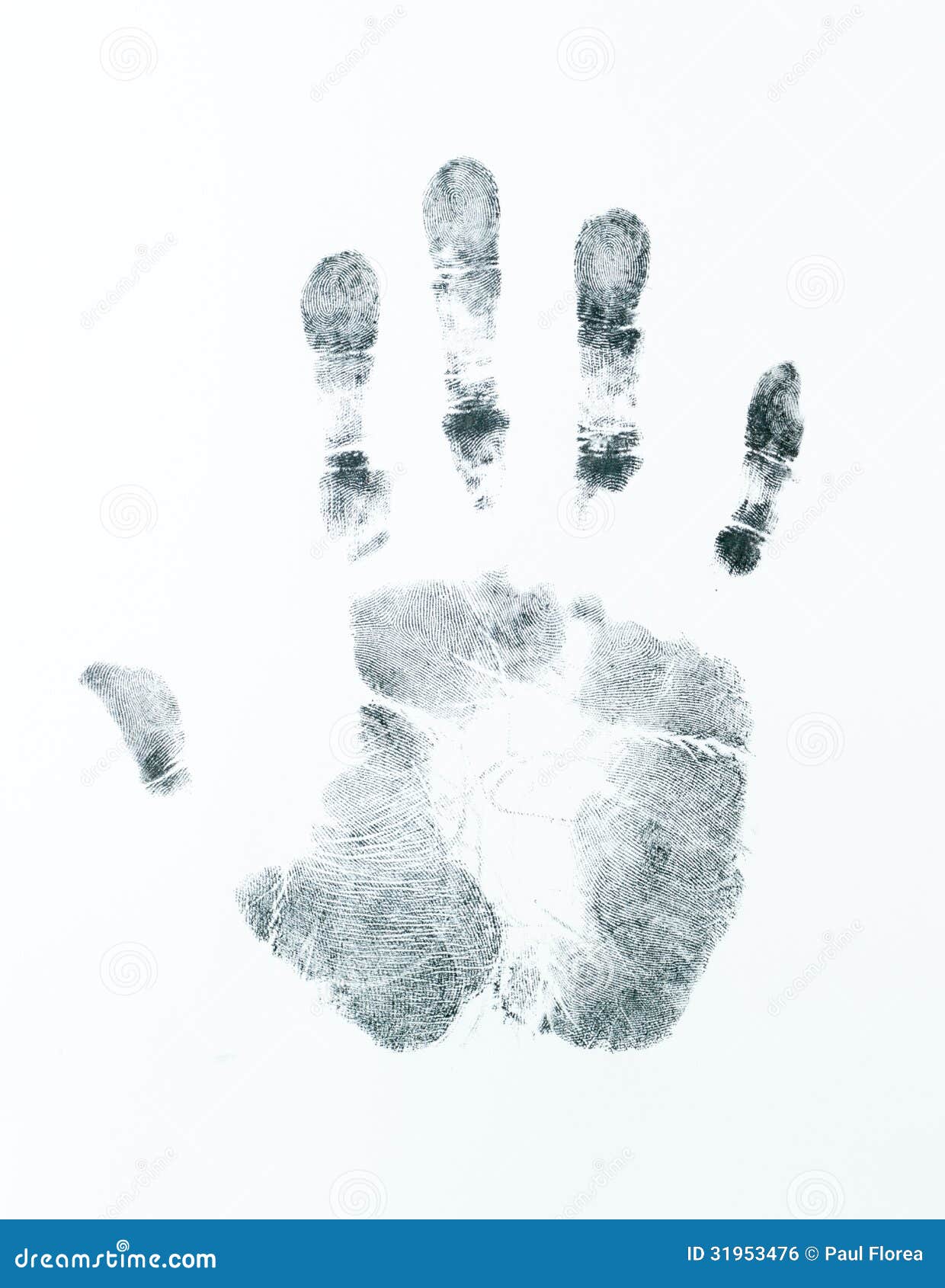 Right palm print stock photo. Image of detective, forensics - 31953476