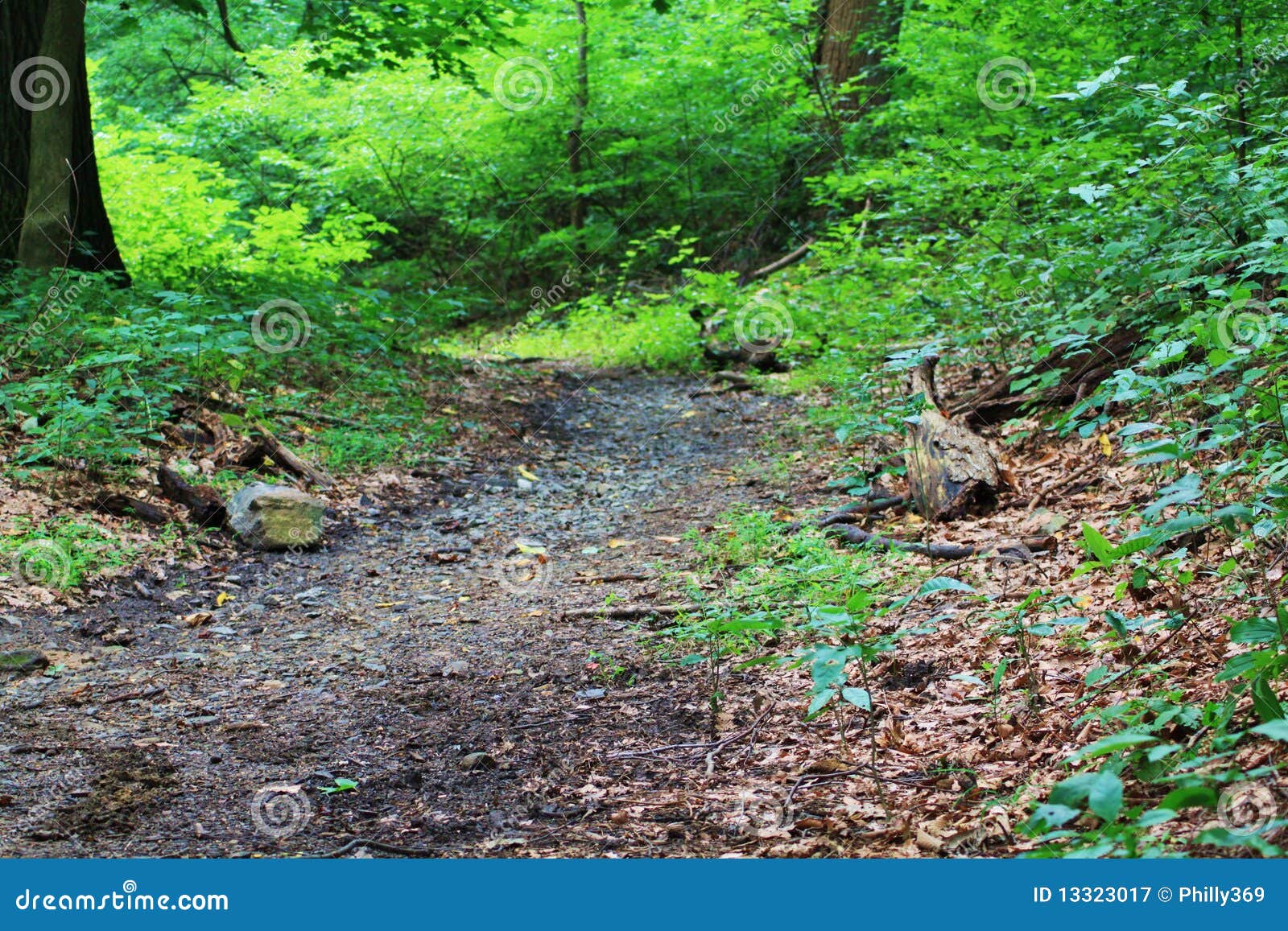 Right Path stock image. Image of path, dirt, right, rocks - 13323017
