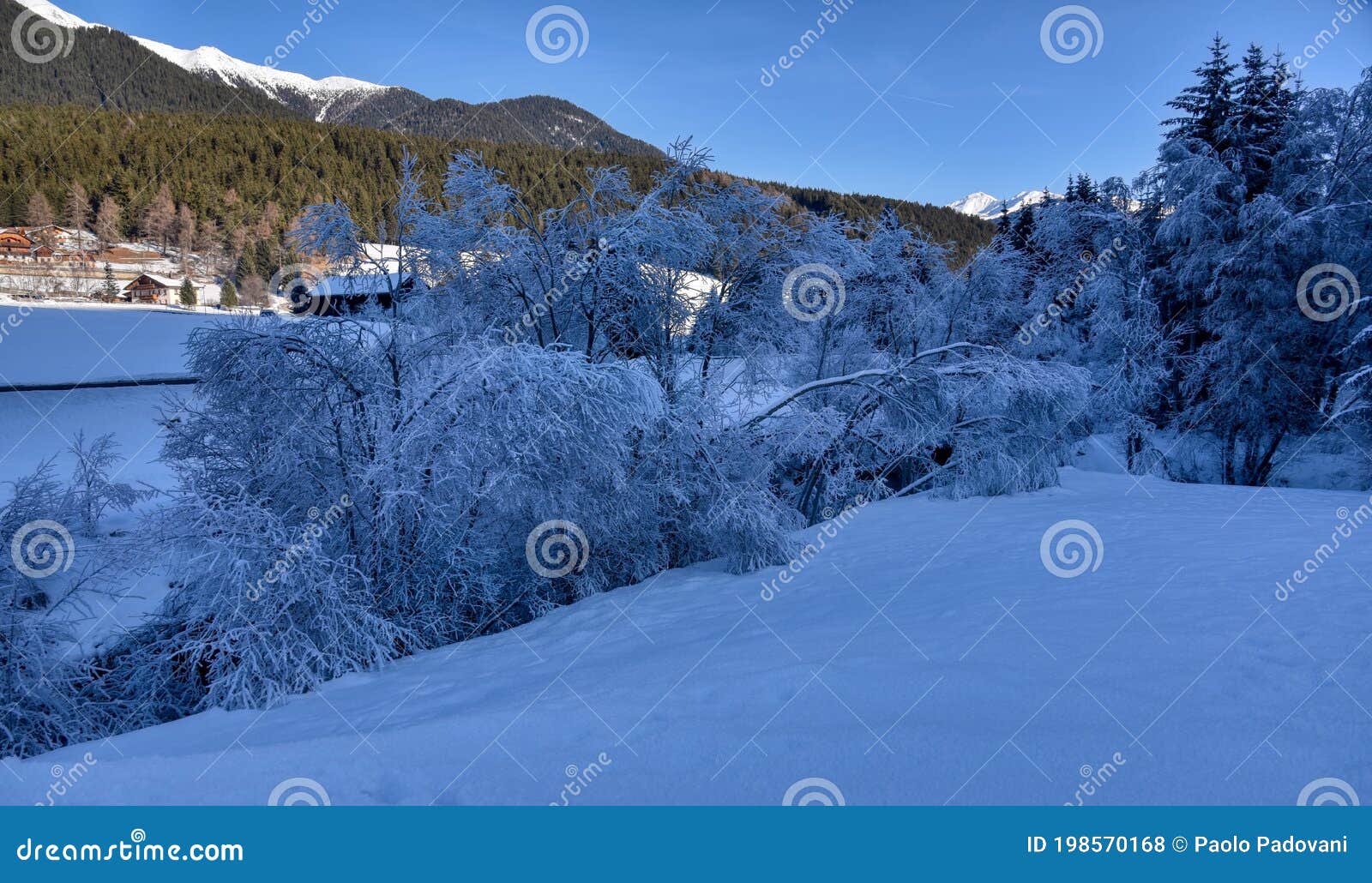 Valley side stock photo. Image of outdoor, forest, italy - 198570168