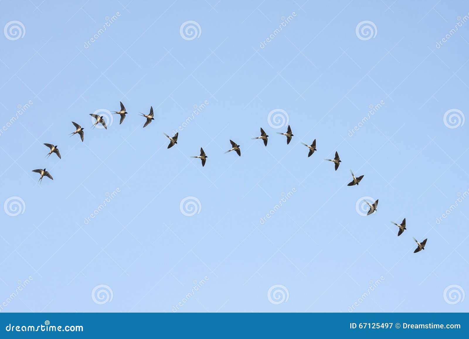 The Right Trajectory for a Perfect Flight Stock Image - Image of ...