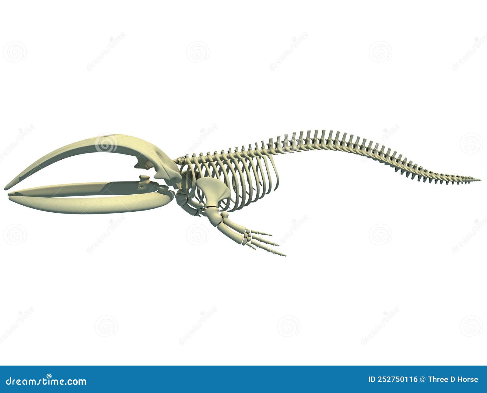 Whale Skeleton Pattern Seamless Cartoon. Skull Silhouette Underwater ...