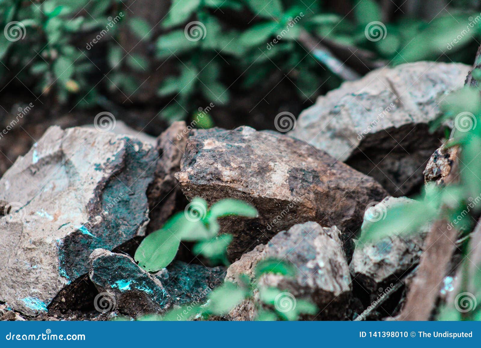 Rigid geographical rocks stock photo. Image of geographical - 141398010
