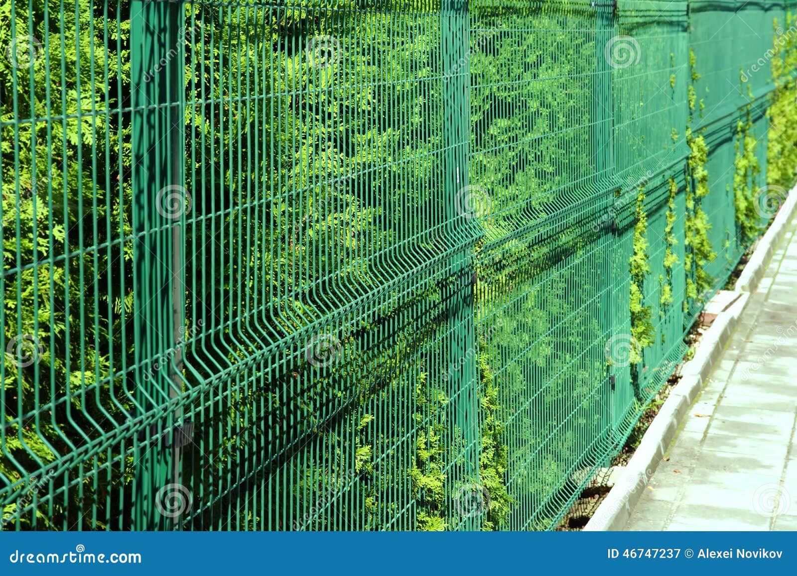 Mesh Fencing For Protecting Vegatable Gardens Stock Image ...