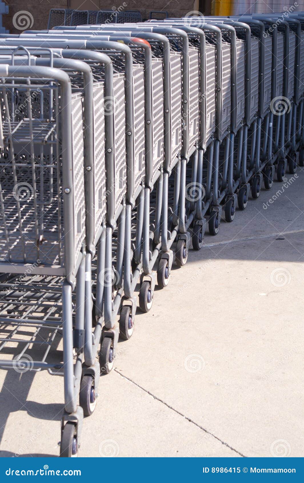 Rij Van De Karren Van De Kruidenierswinkel Stock Afbeelding - Image of ...