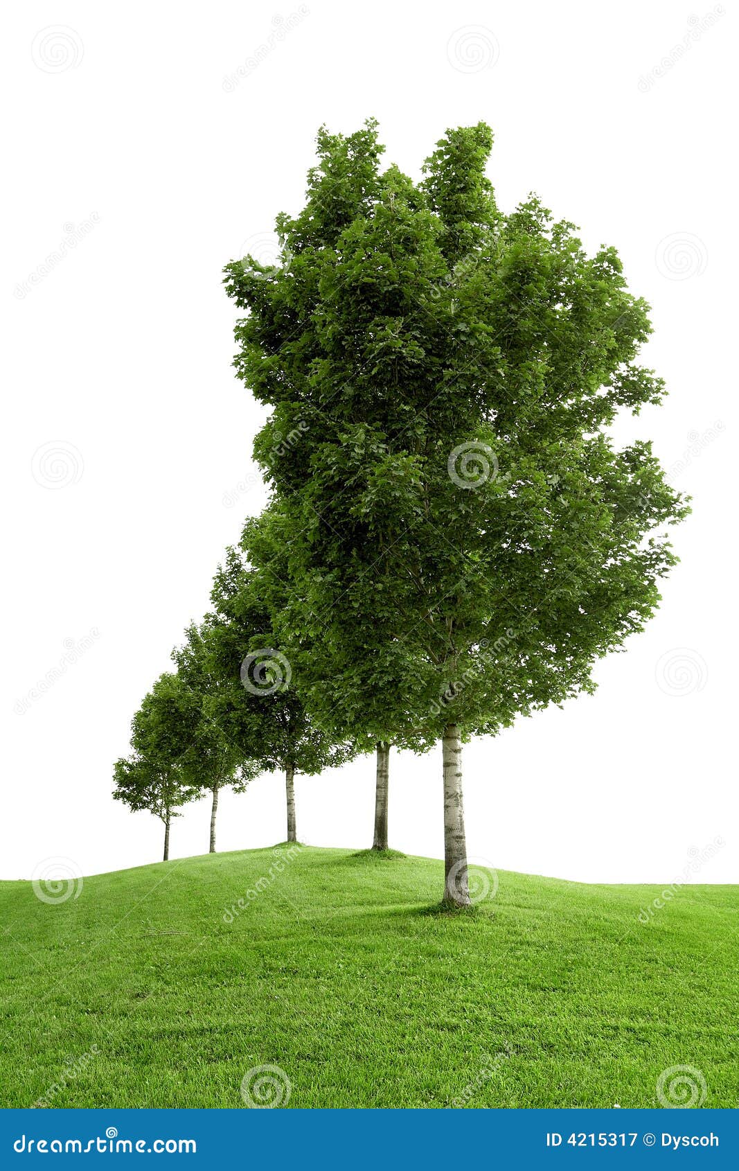 Rij van groene bomen stock afbeelding. Image of hoop, minimaal - 4215317