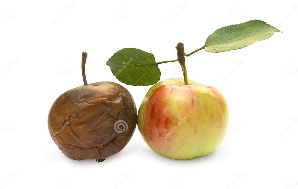 Rijpe en rotte appel stock afbeelding. Image of groen - 11295699
