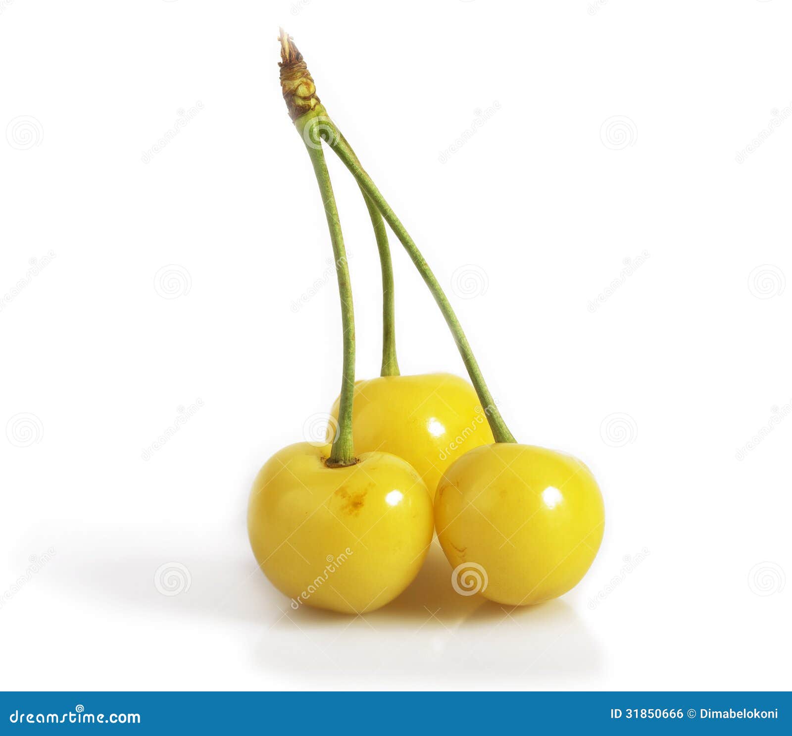 Rijpe gele kers stock foto. Image of gezond, voorwerp - 31850666