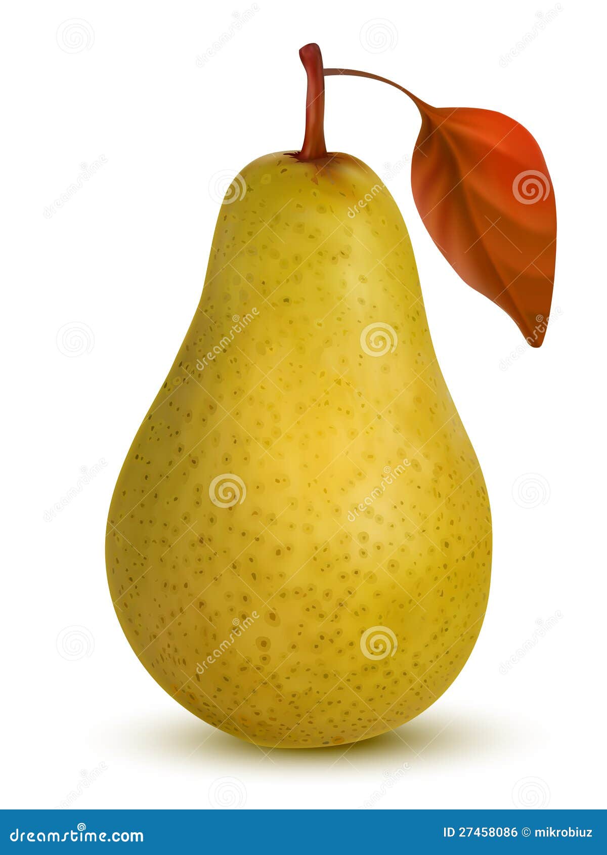 Rijpe gele peer vector illustratie. Illustration of blad - 27458086