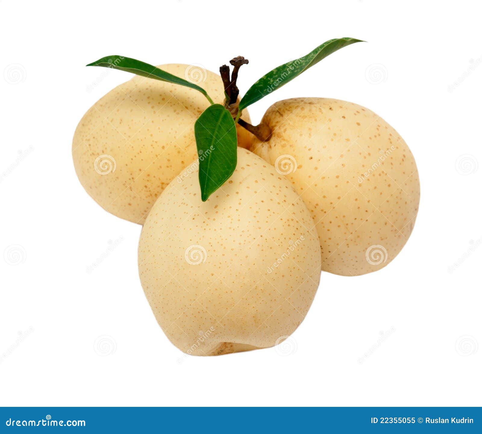 Rijpe Gele Peer Drie Met Groene Bladeren Stock Afbeelding - Image of ...