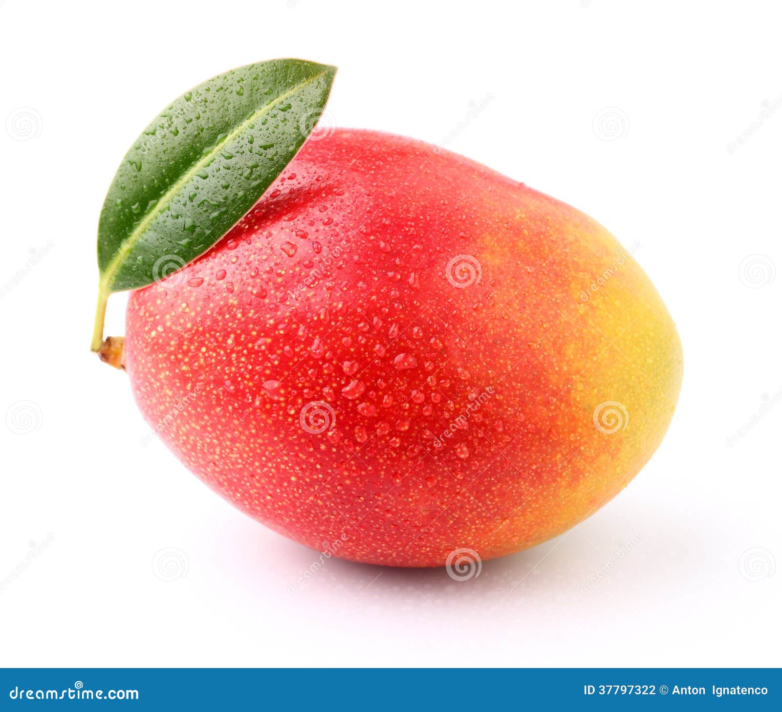 Rijpe mango stock foto. Image of groen, voedsel, gezond - 37797322