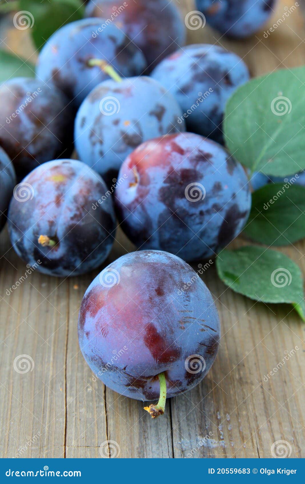 Rijpe sappige blauwe pruim stock afbeelding. Image of pruim - 20559683