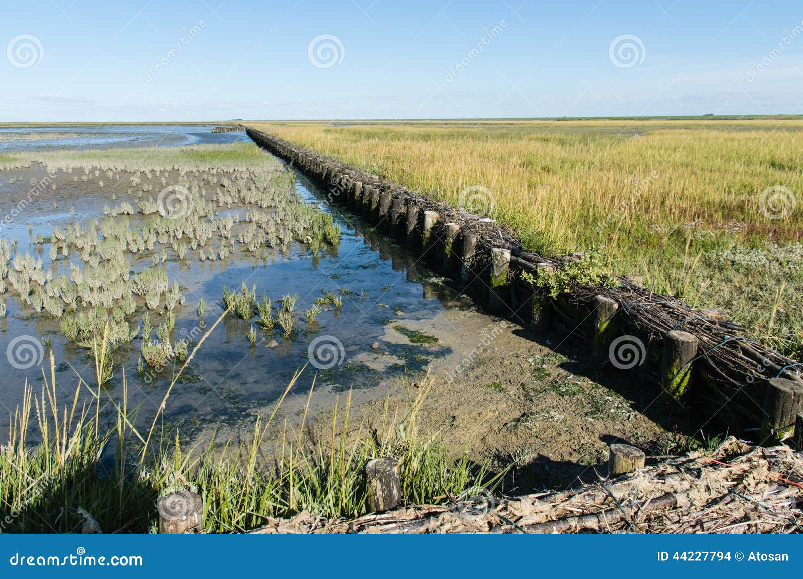 Rijshout dammen stock foto. Image of terugwinning, dammen - 44227794