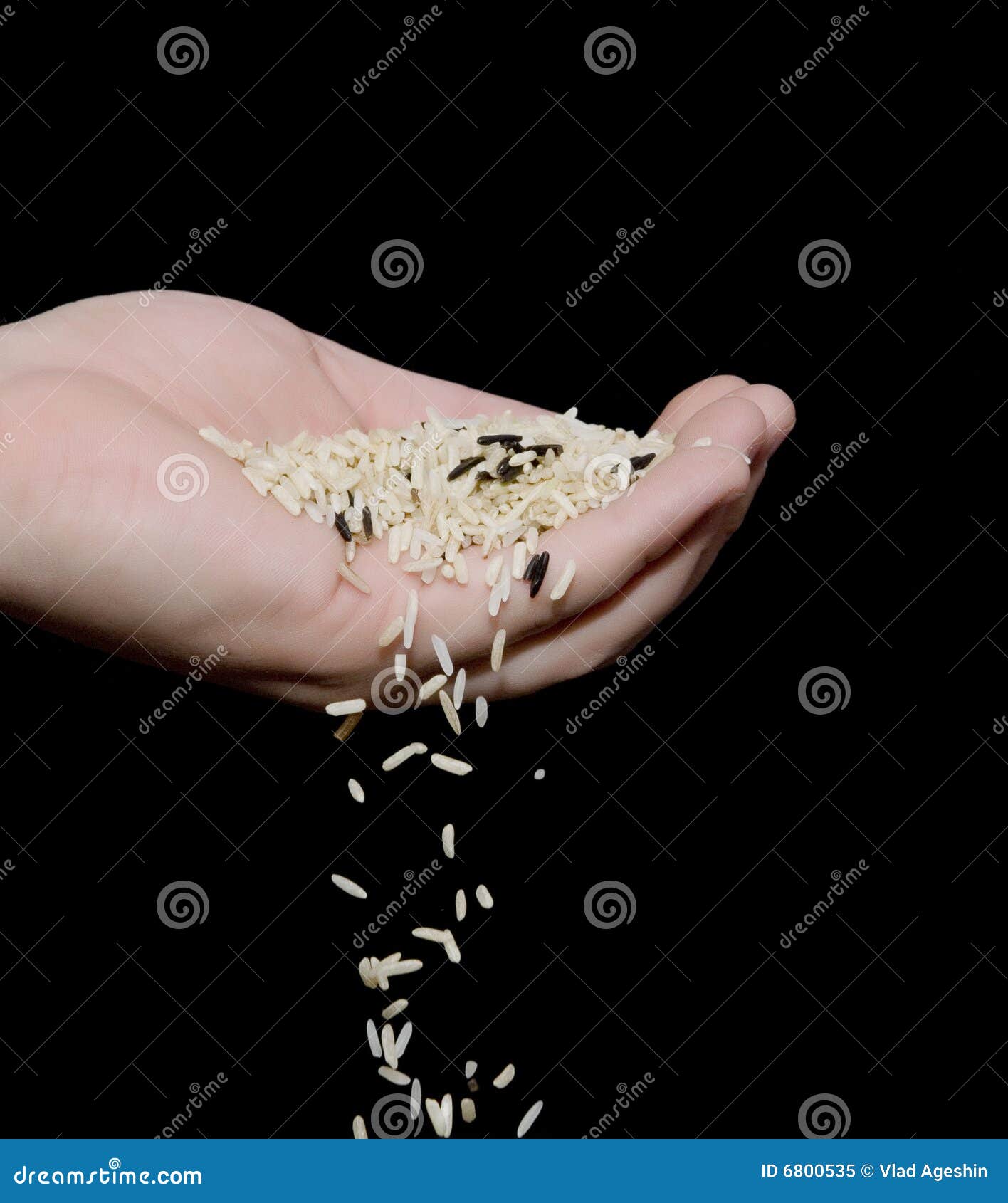 Rijst Die Uit Hand in Werking Wordt Gesteld Stock Afbeelding - Image of ...