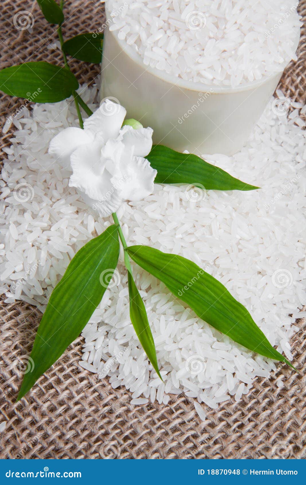 Rijst op Zak 2 van de Jute stock foto. Image of bloem - 18870948