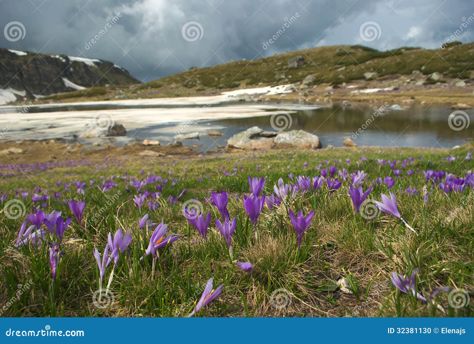 1 of the 7 Rila lakes 3 stock photo. Image of flowers - 32381130