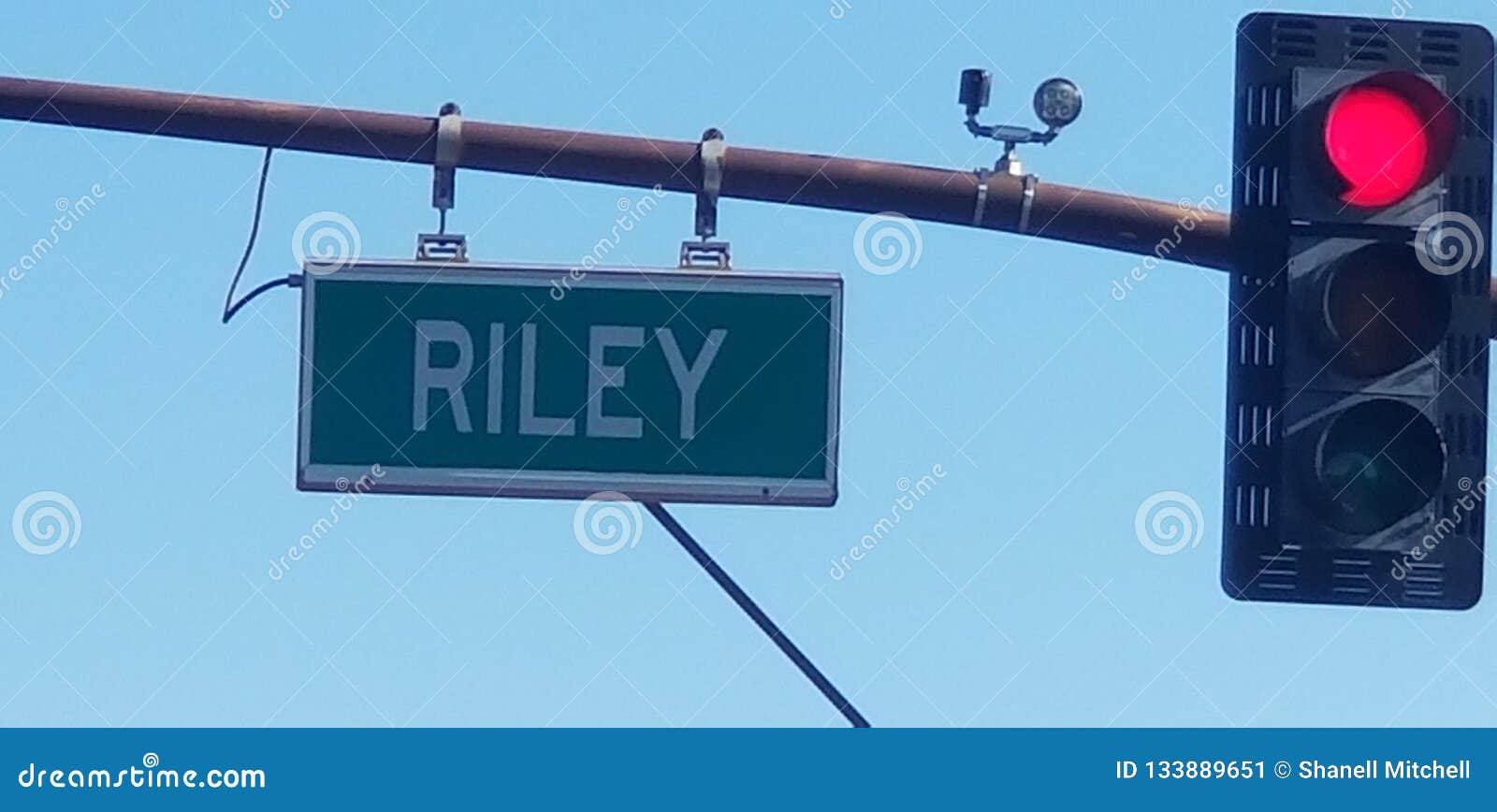 Riley stock image. Image of camera, funny, light, riley - 133889651