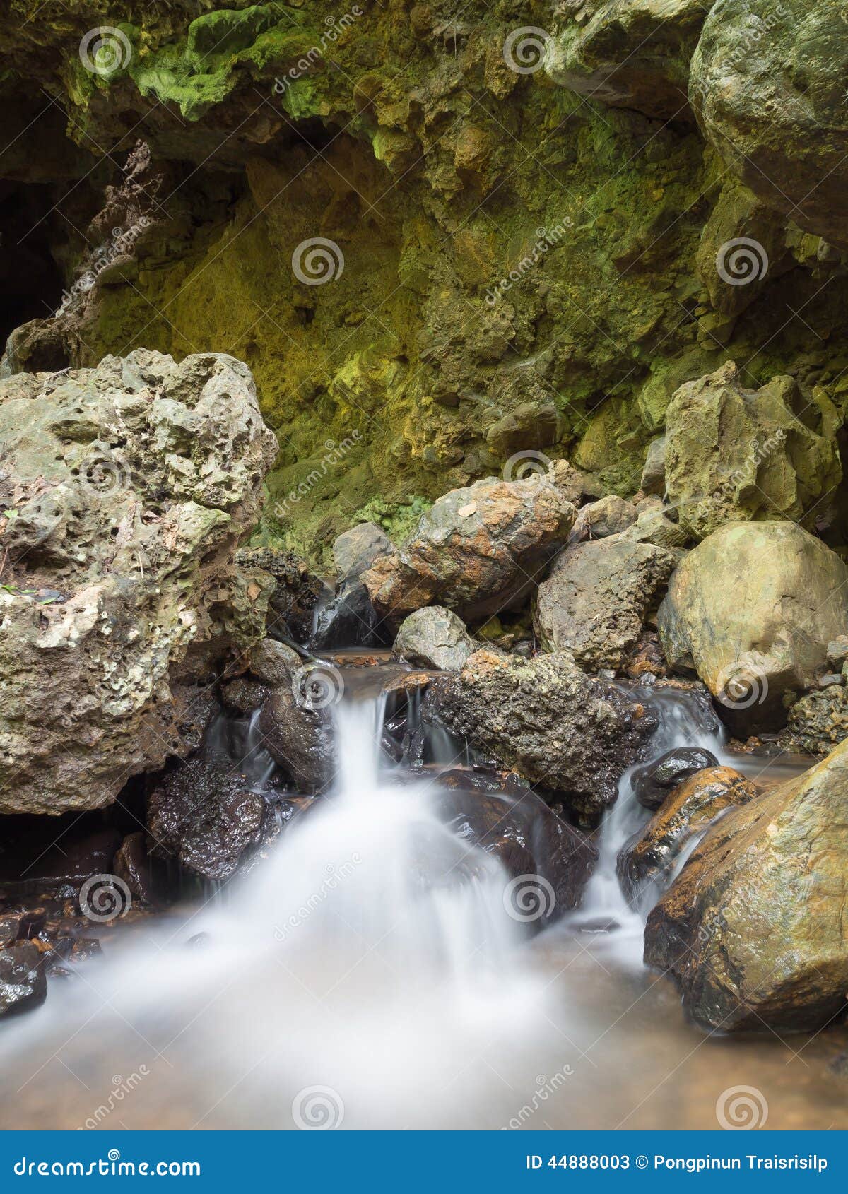 Rill from cave in forest stock image. Image of travel - 44888003
