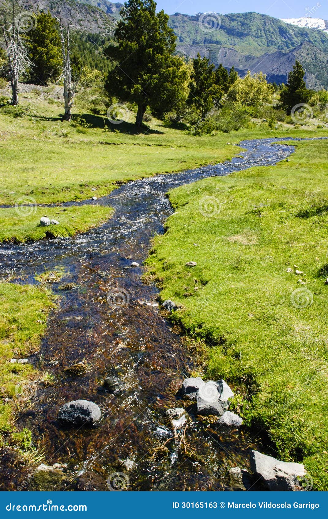 Rill stock image. Image of nature, vegetation, laja, america - 30165163