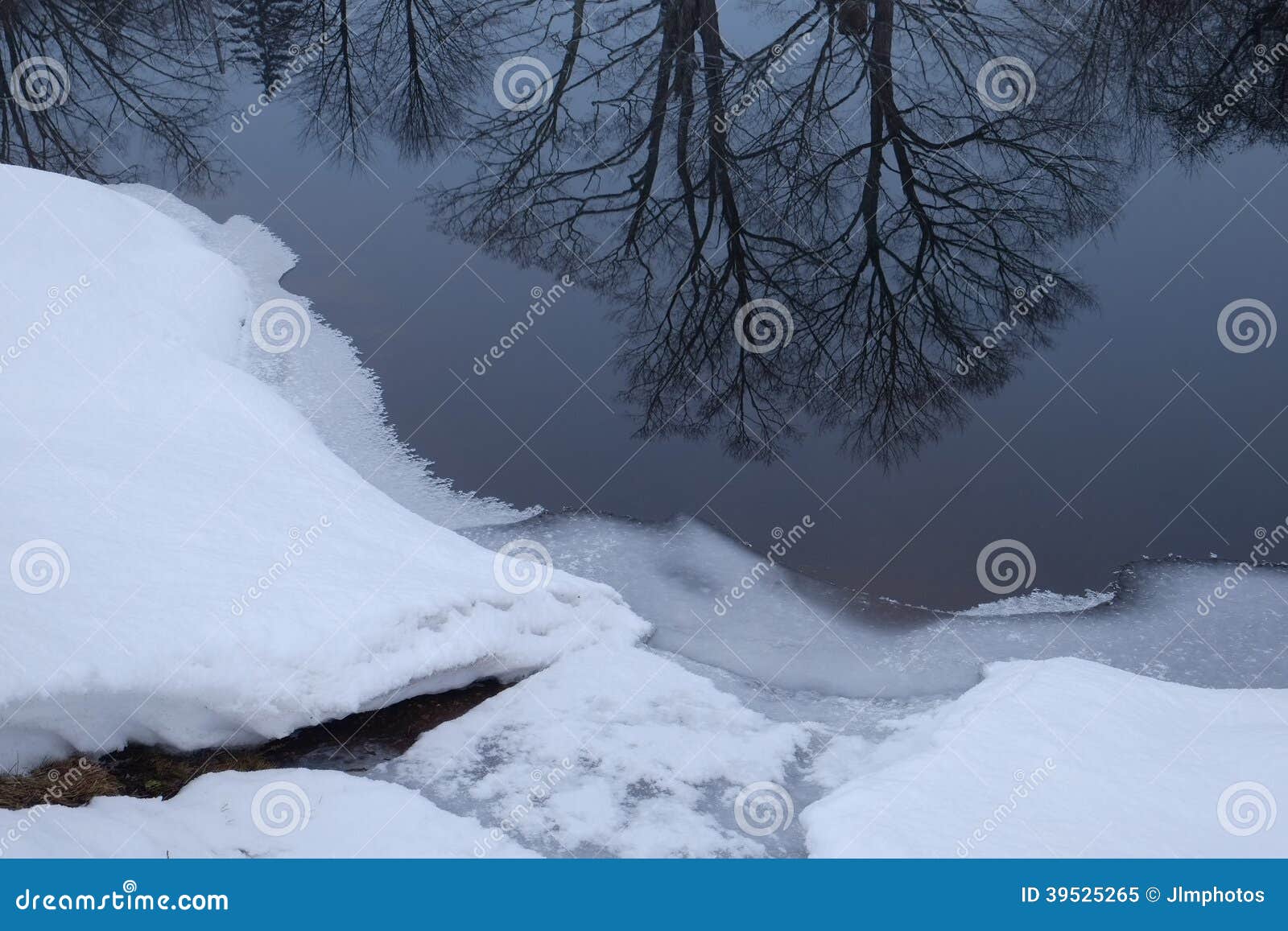 Rim Ice and Tree Reflections Stock Image - Image of lake, outdoor: 39525265