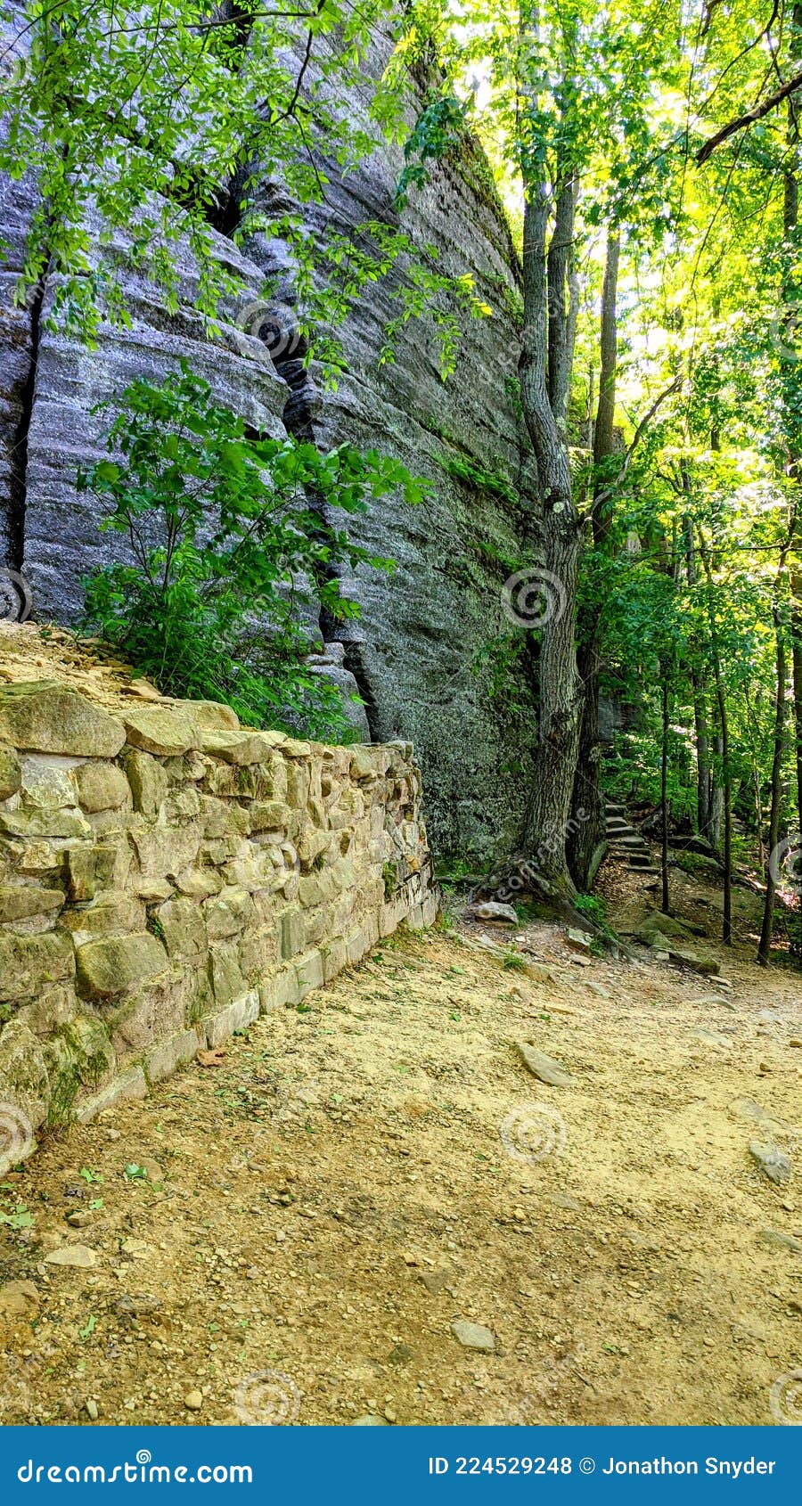 Rim Rock Caverns stock photo. Image of plant, rock, soil - 224529248