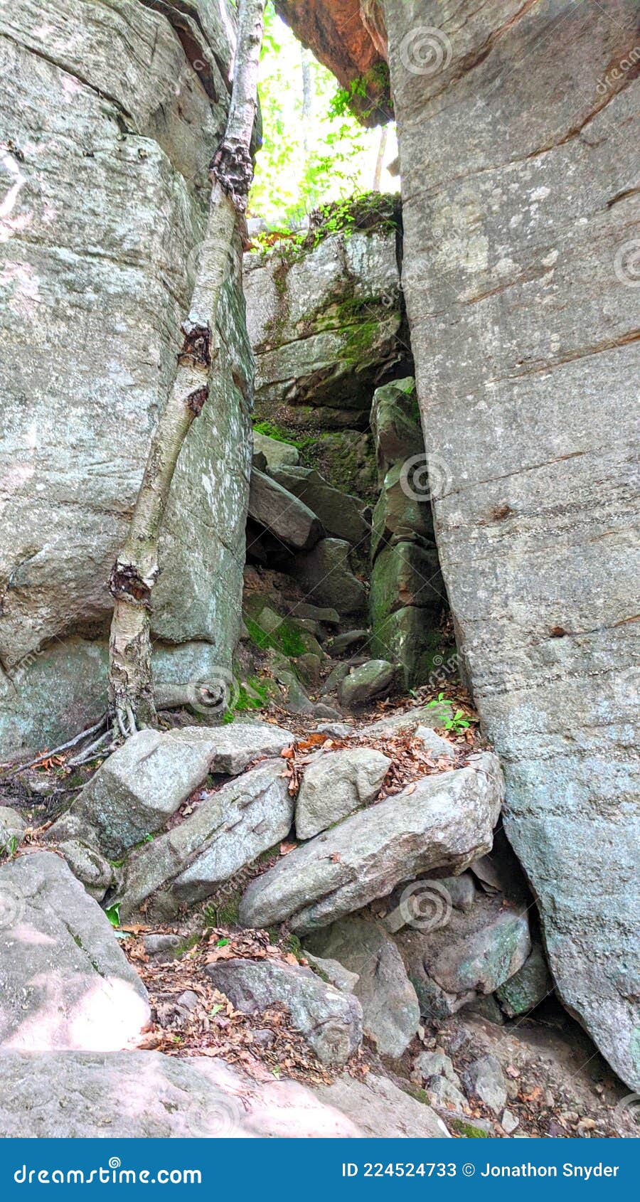 Rim Rock Caverns stock image. Image of tree, geology - 224524733