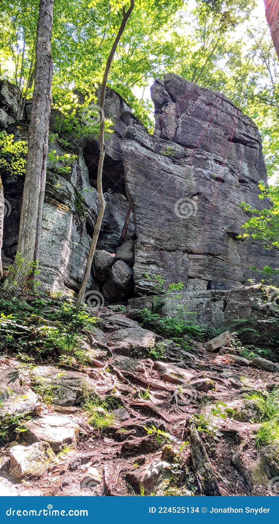 Rim Rock Caverns stock photo. Image of cliff, wall, geology - 224525134