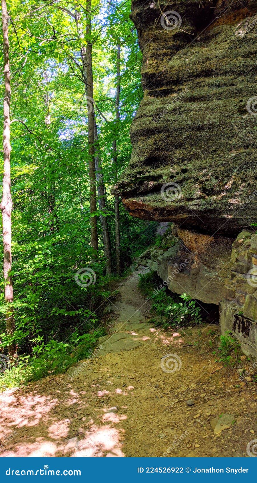 Rim Rock Caverns stock photo. Image of trunk, river - 224526922