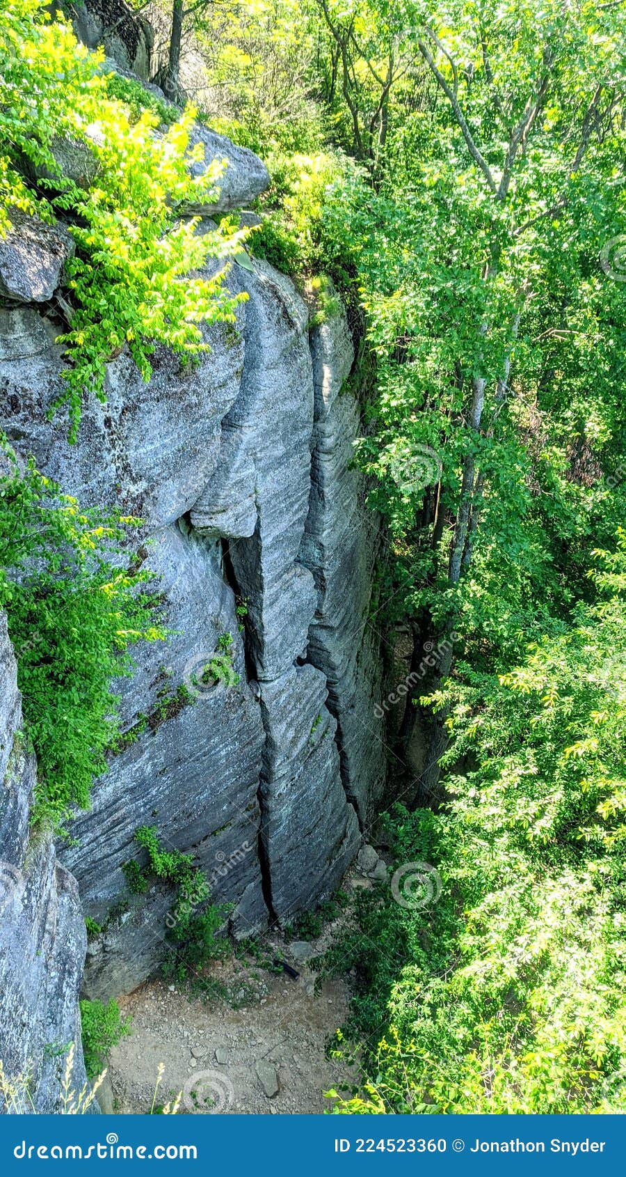 The Rim Rock Cliff stock photo. Image of leaf, terrain - 224523360