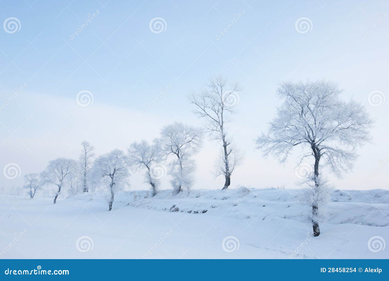 Rime stock photo. Image of mist, china, outdoor, snowflake - 28458254