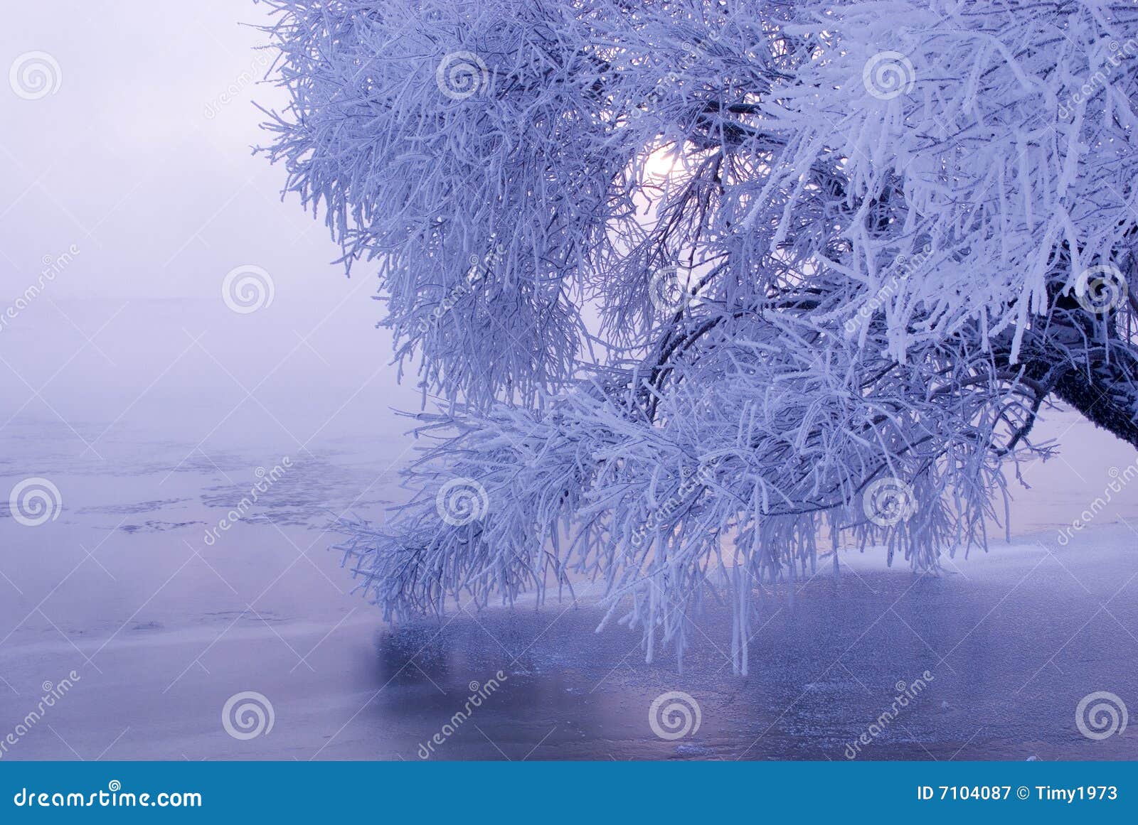 Rime stock image. Image of rime, river, cold, winter, morning - 7104087