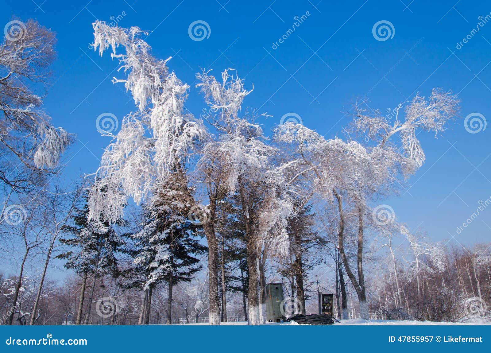 Rime stock image. Image of season, harbin, park, frost - 47855957