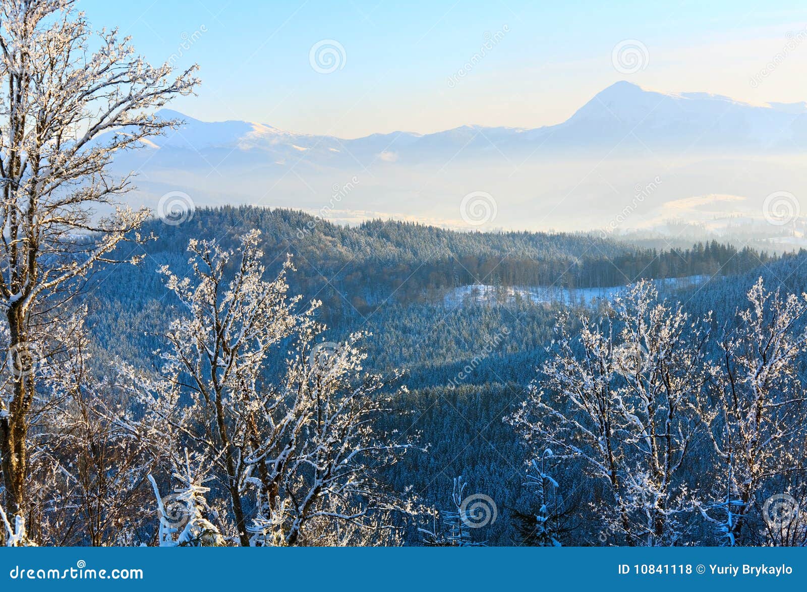 Rime Covered Trees in Winter Mountain Stock Photo - Image of hoarfrost ...
