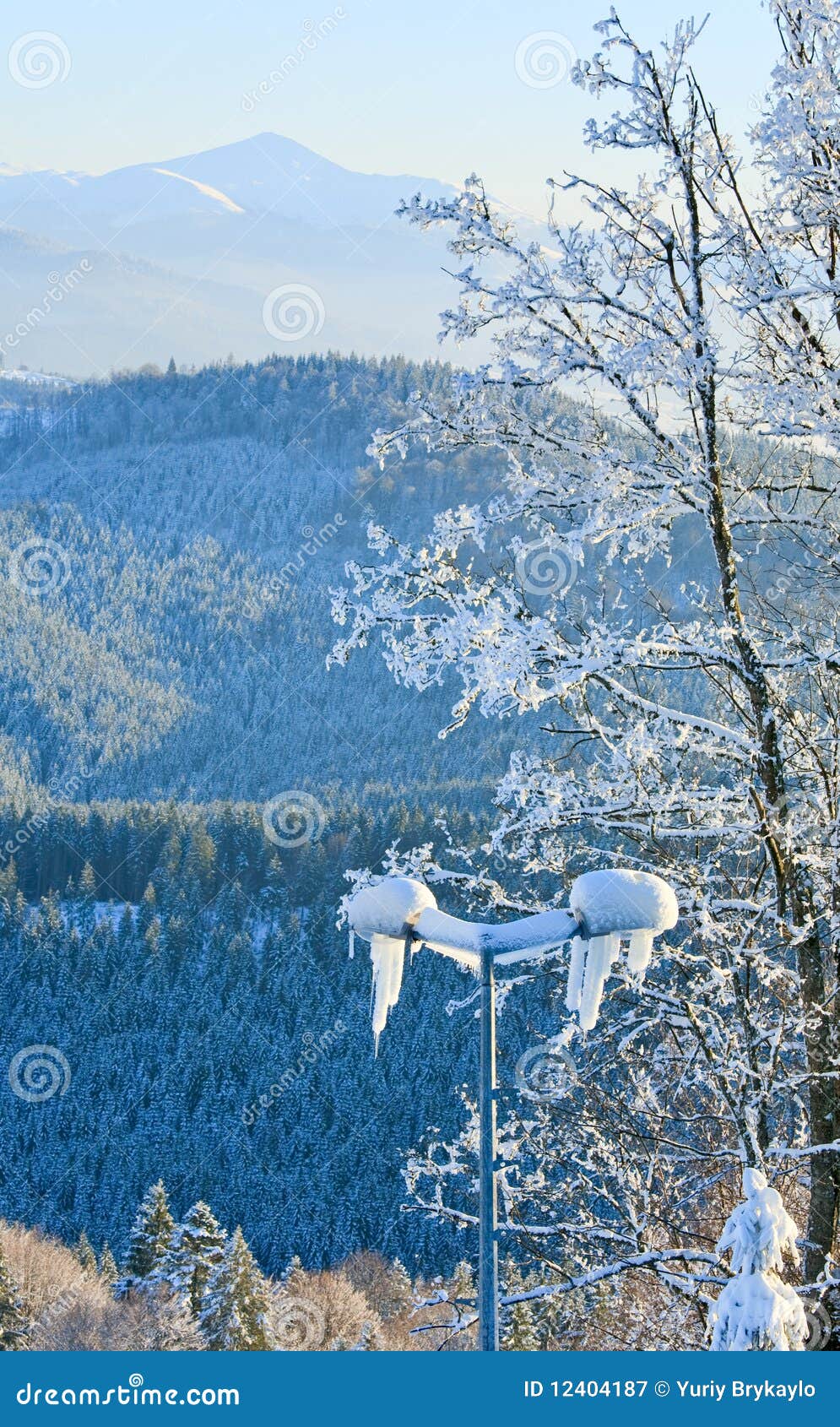 Rime Covered Trees in Winter Mountain Stock Image - Image of spruce ...