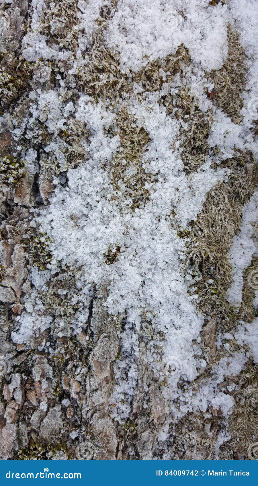 Rime, Frost, Ice on the Wood Texture Stock Photo - Image of cool ...