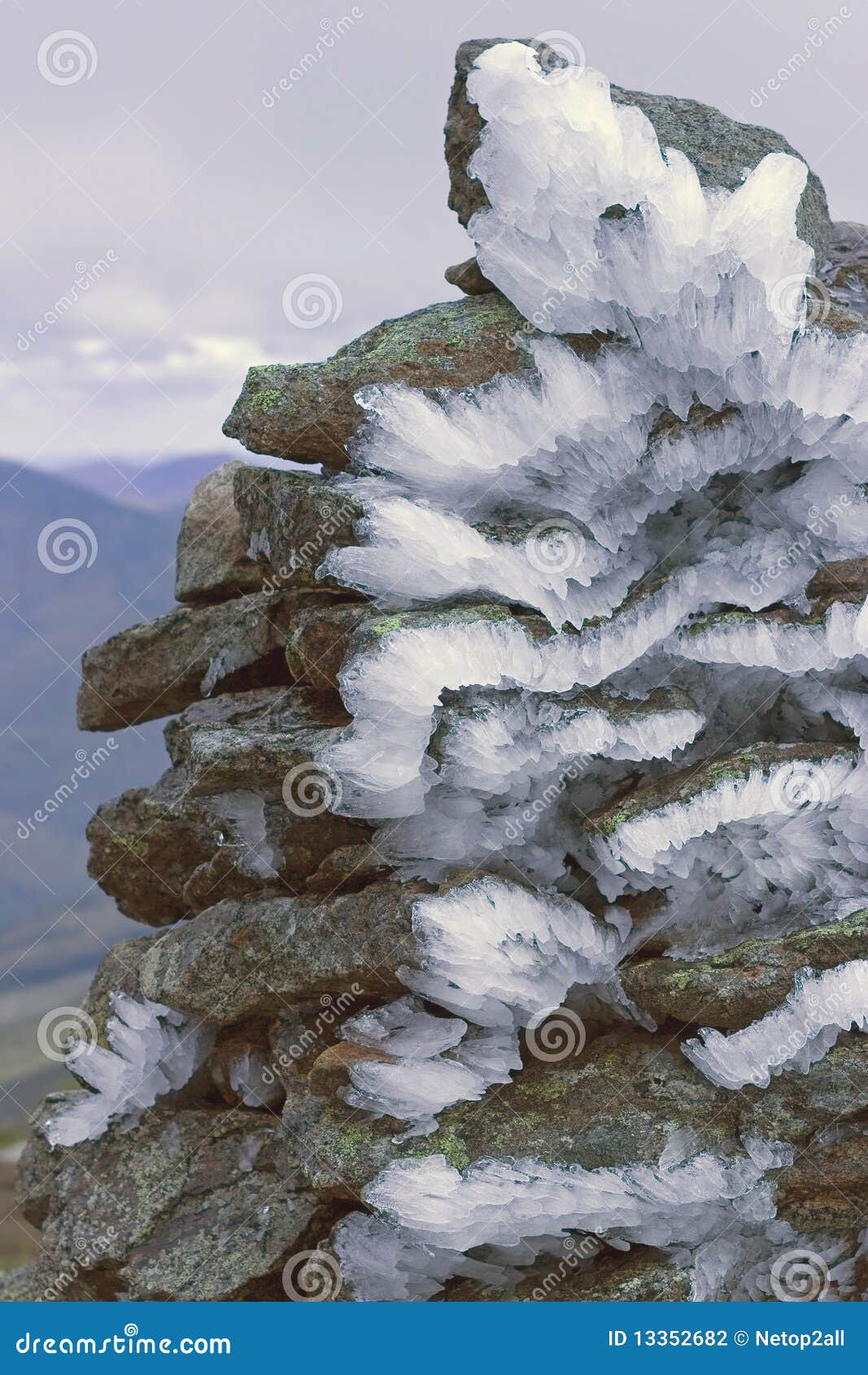 Rime Ice Of Mount Shasta Clinging To Volcanic Red Rock Cliff Near The ...